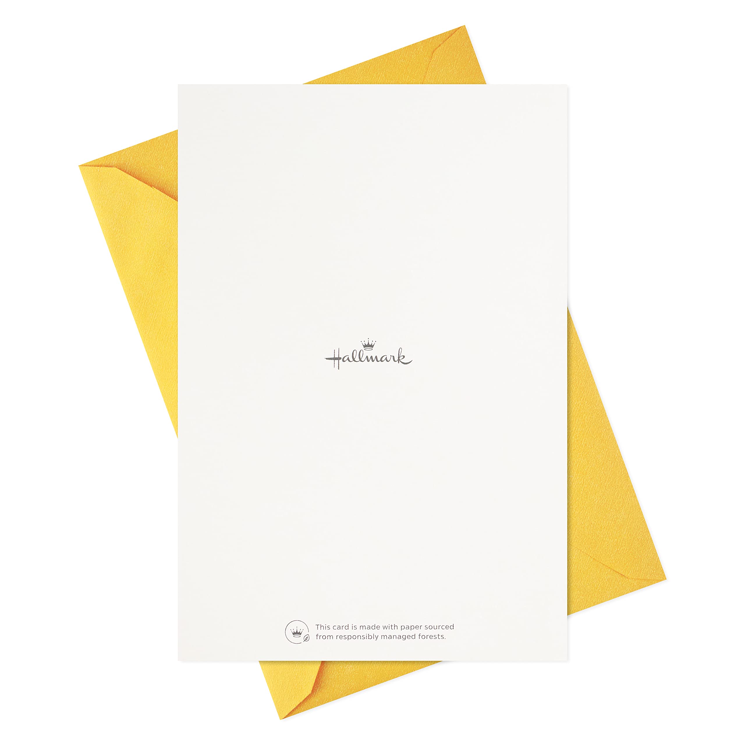 Hallmark Birthday Cards Assortment, 16 Cards with Envelopes (Classic Celebrate)