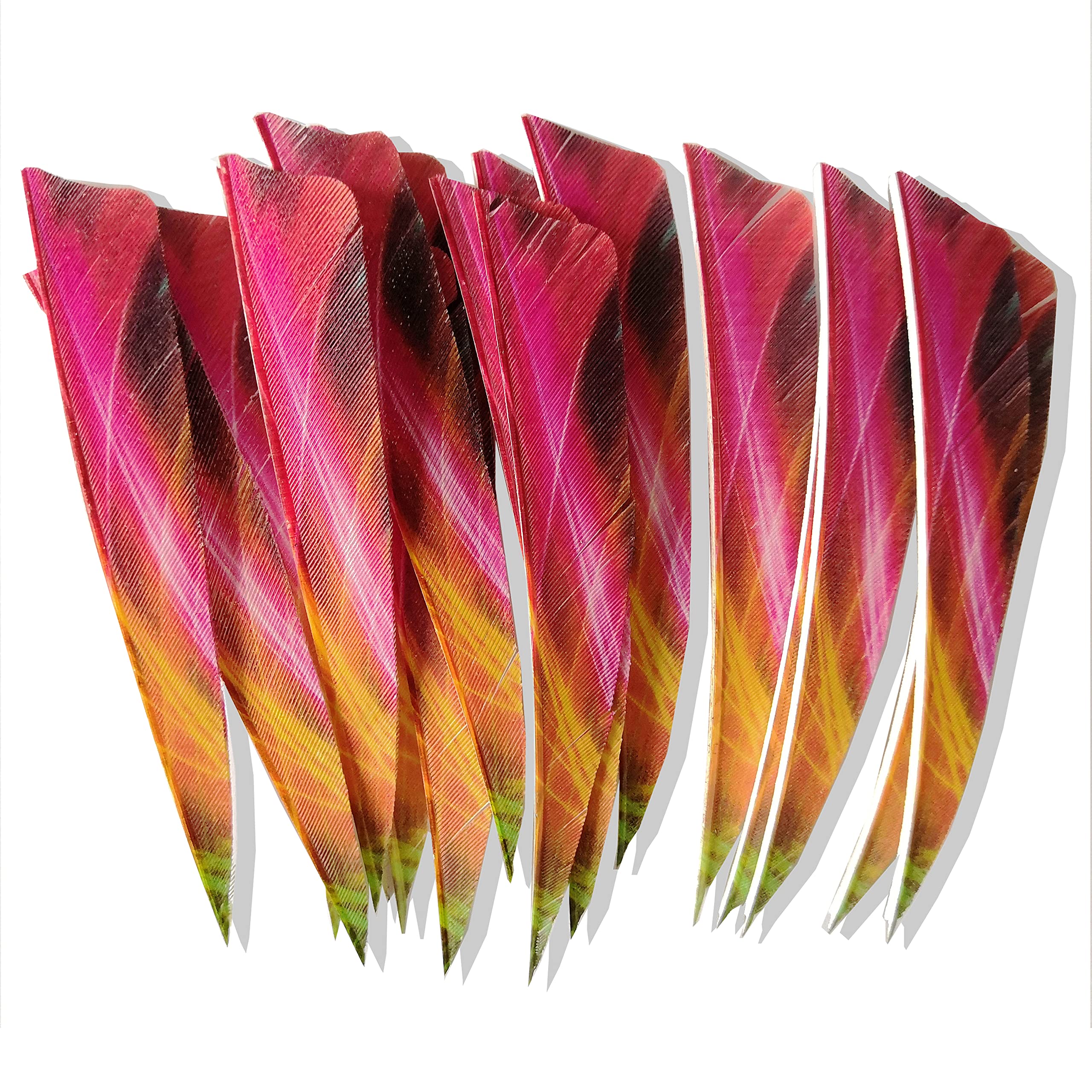 AMEYXGS 50pcs Archery Arrow Feather 4 Inch Natural Turkey Faether Colorful Arrow Fletches Right Wing Hunting Shooting Target Arrow Accessory (color 6)