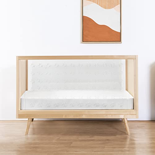 Babyletto Ubabub Nifty Clear 3-in-1 Crib in Natural Birch, Greenguard Gold Certified