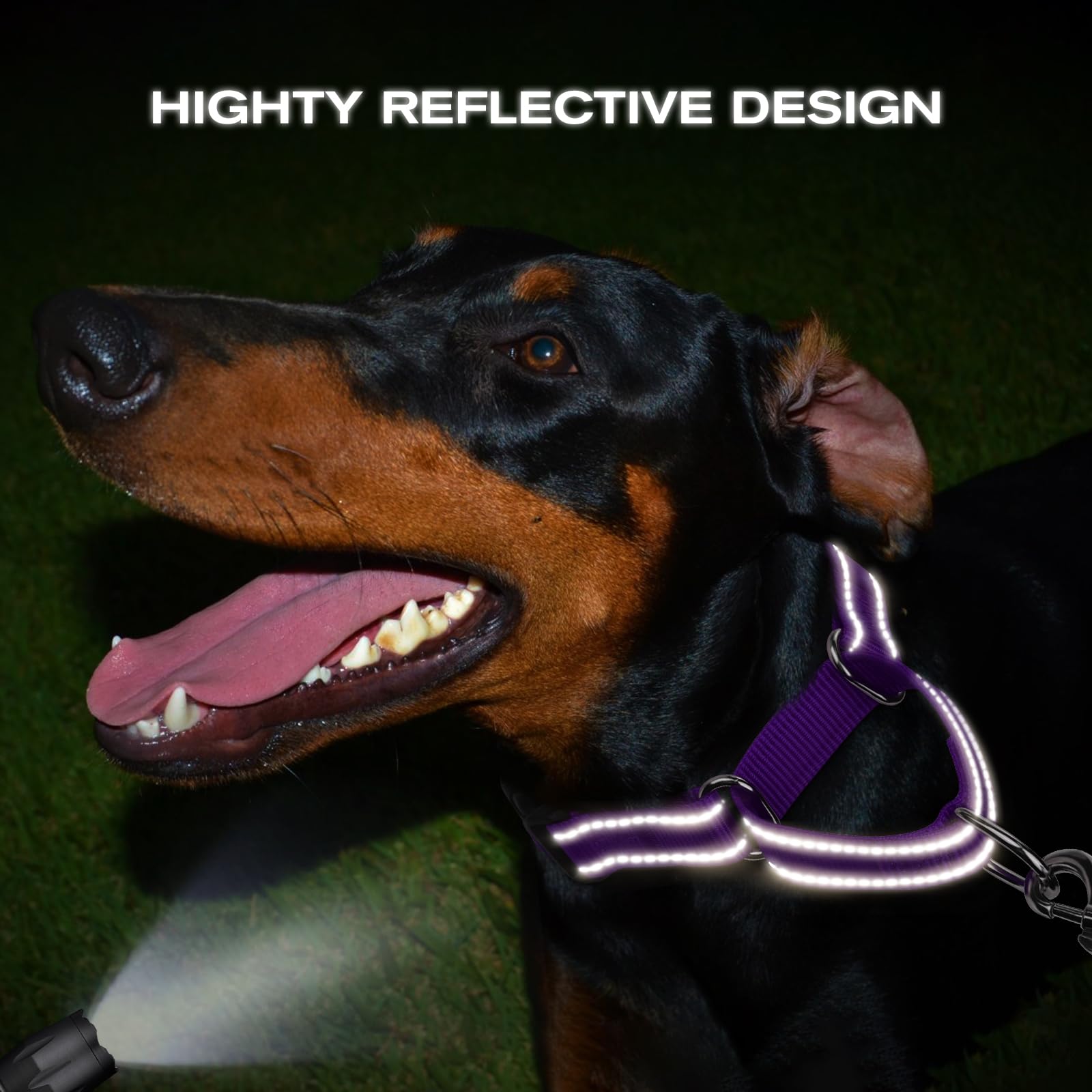 Joytale Martingale Collar for Dogs, Reflective Heavy Duty Dog Collar for Safety, Quick Release Buckle, Adjustable Nylon Collars for Medium Dogs Walking Training, Purple,M