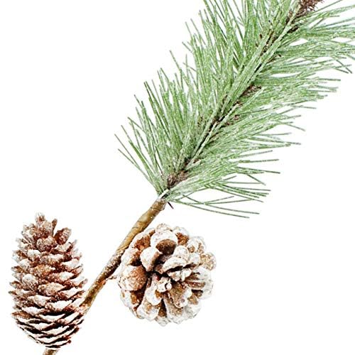 AuldHome Pine Cone Picks (6-Pack); Frosted Evergreen Christmas Decor Floral Stems for Wreaths, Vases and Holiday Arrangements