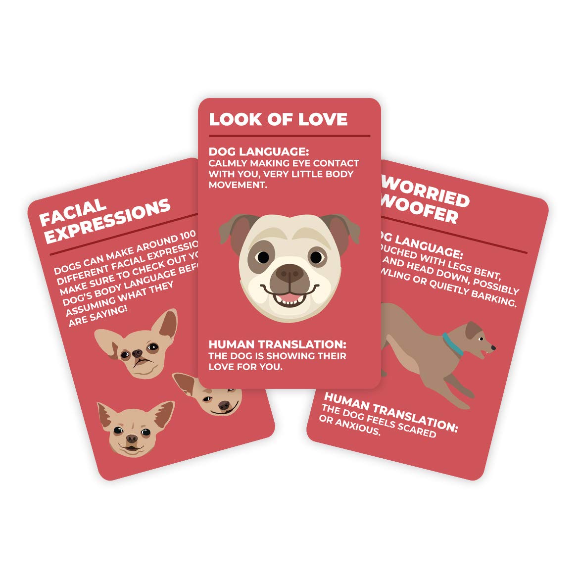 Gift Republic How To Speak Dog 100 Cards Fun Gift for Dog Lovers Learn What Your Puppy is Saying Dog Behaviour Guidance Cards Doggie Language