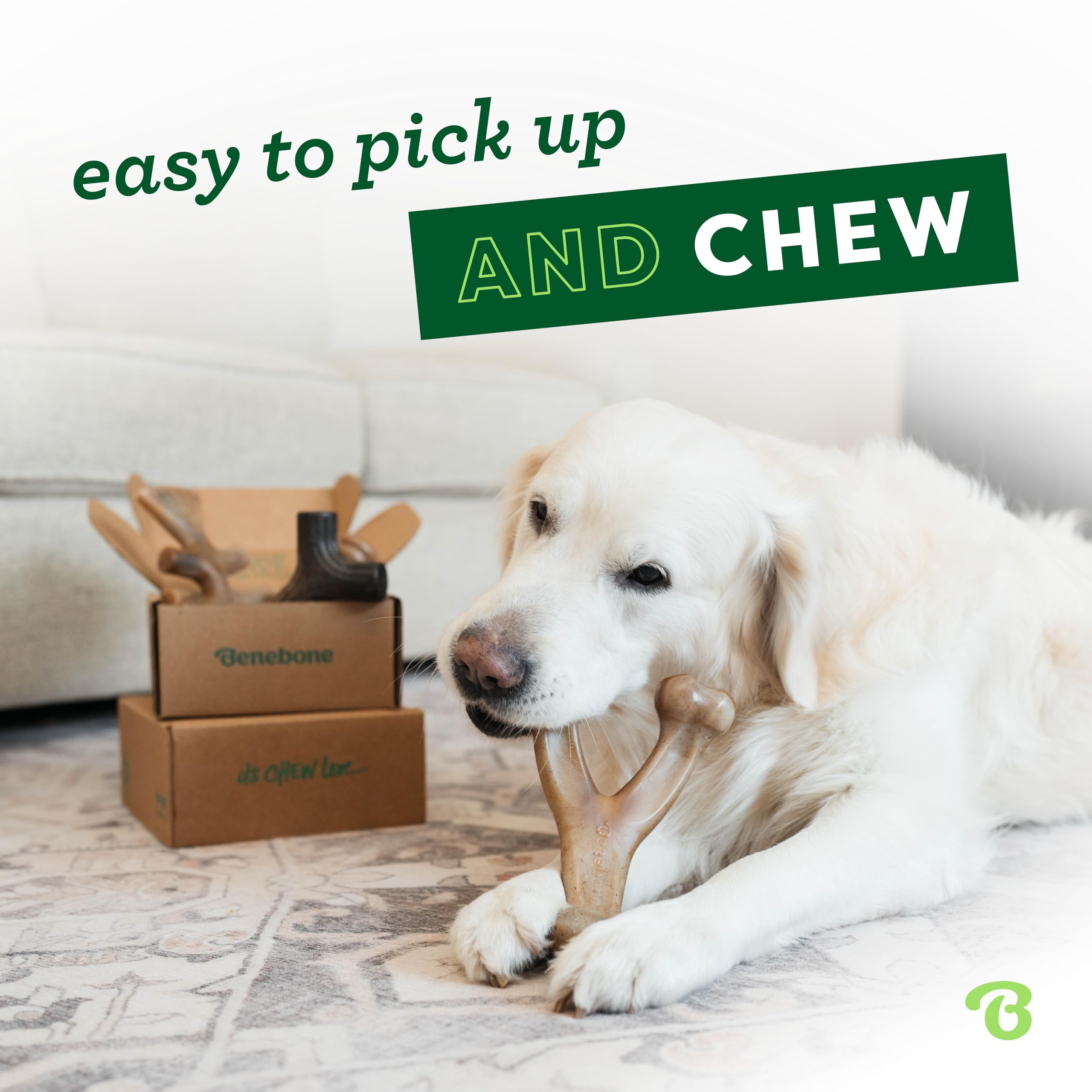 Benebone Small 4-Pack Dog Chew Toys for Aggressive Chewers, Made in USA, 30lbs and Under