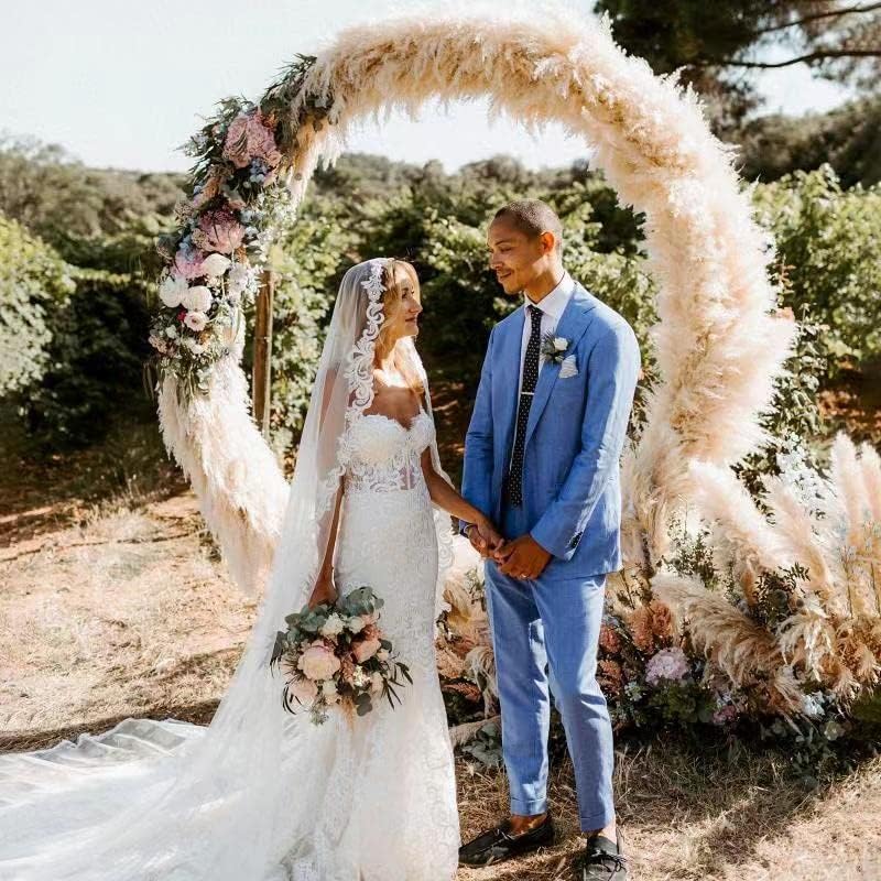 Balloon Arch Stand, Round Backdrop Stand, 6.6ft Circle with Bases Wedding Arch, Circle Backdrop Stand for Bridal, Birthday Party Decoration