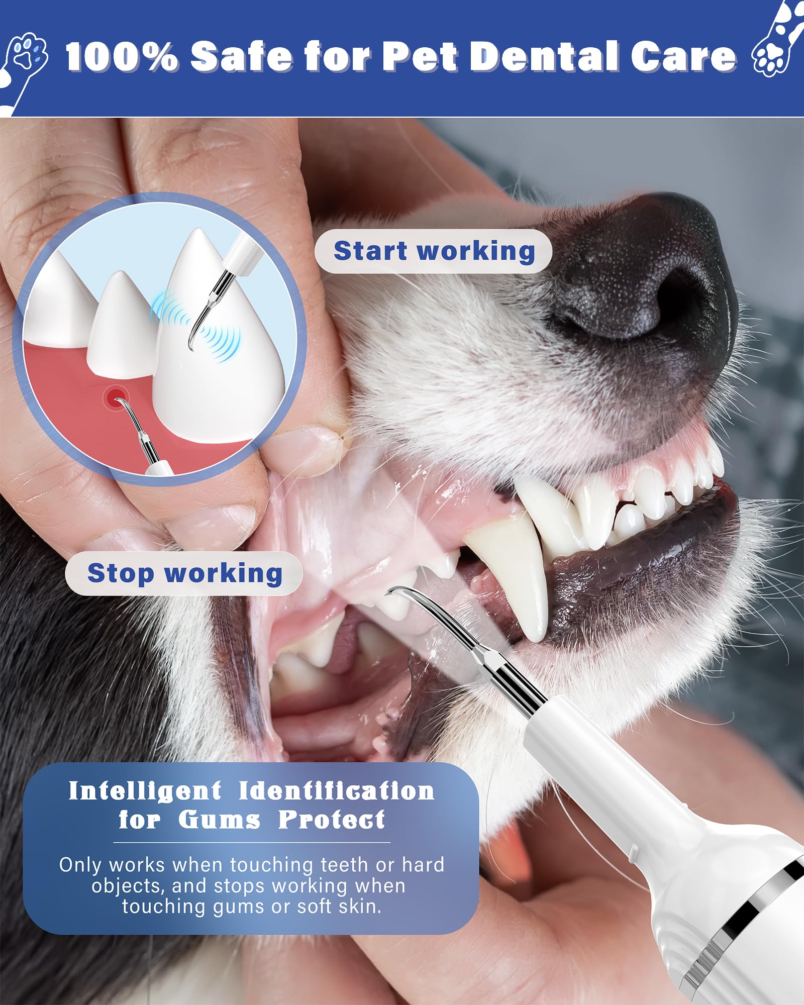 NATURE NERDS Plaque Remover for Teeth, Pet Tooth Brushing Kit, Dental Tools to Remove Plaque and Tartar, Safe for Dog and Cat, with LED Light, White
