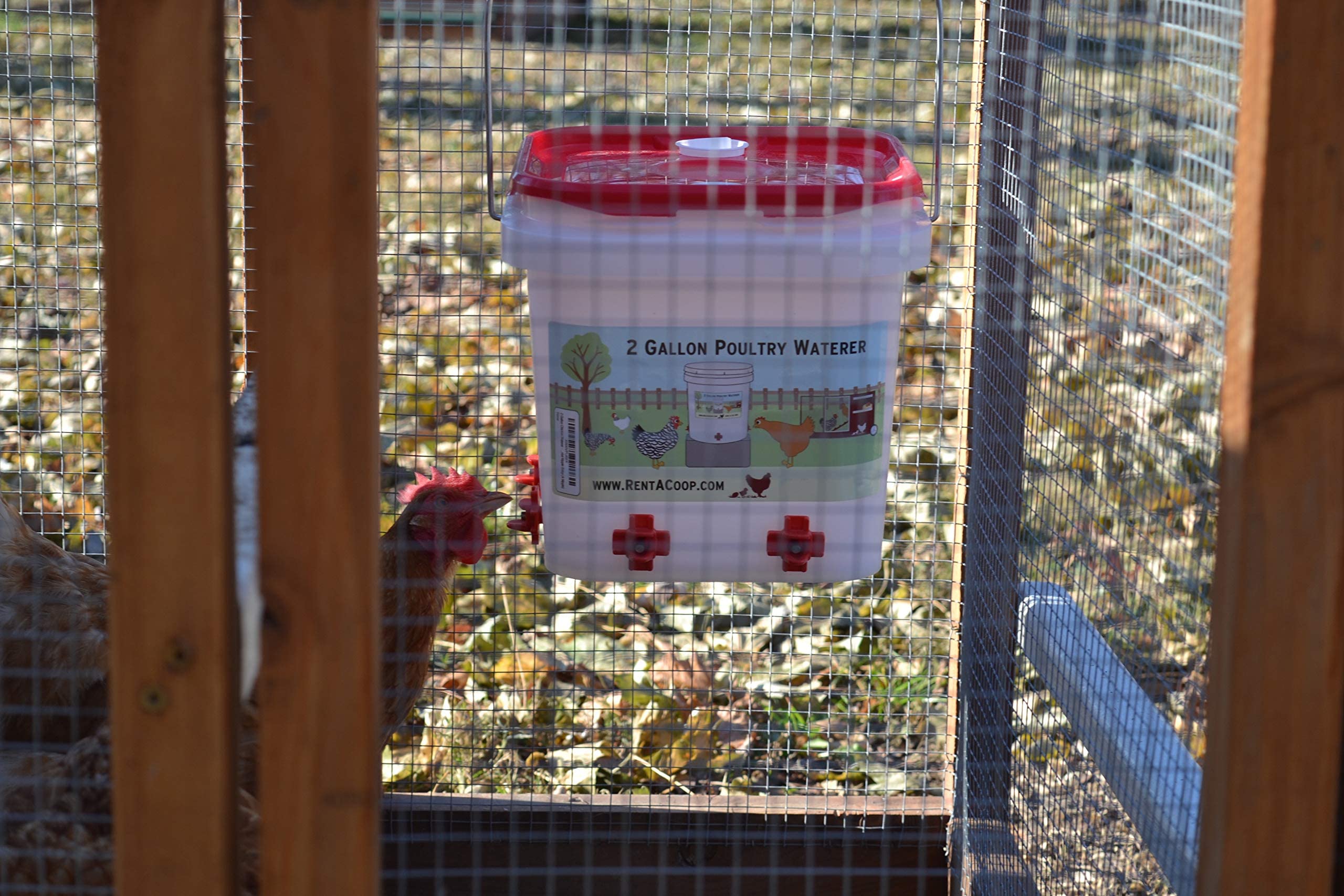 RentACoop 2 Gallon Chicken BPA-Free Plastic Bucket Waterer Set with 4 Horizontal Nipples - Corner Placement