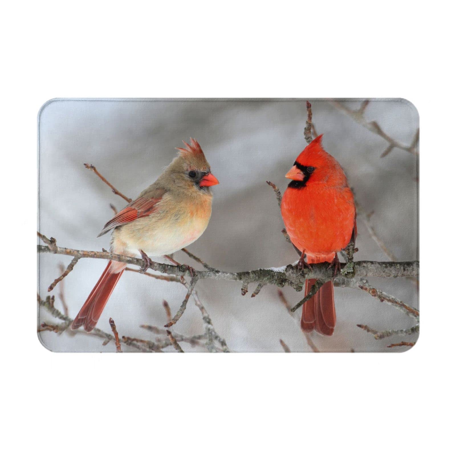 Bath Rugs Cute Cardinal Birds Standing on Branches Door Mat Outdoor Winter Birds Natural Design Doormat Non Slip Absorbent Bathroom Rug Carpet for Home Entrance Kitchen 16x24in