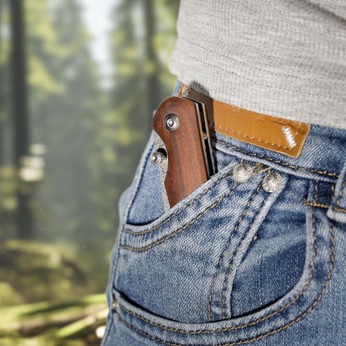 BARRYSAIL Damascus Small Pocket Knife, Folding Knife with 2.4 Inch Blade, Liner Lock, Wood Handle for EDC, Outdoor Camping, Survival