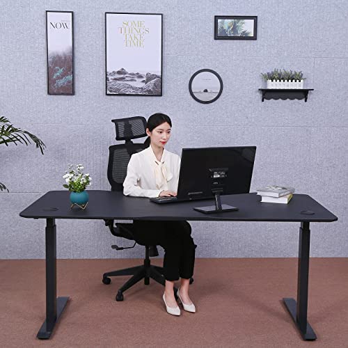 ApexDesk K Series 60" Electric Height Adjustable Standing Desk with Curved Top and Memory Preset Controller (Black Top)