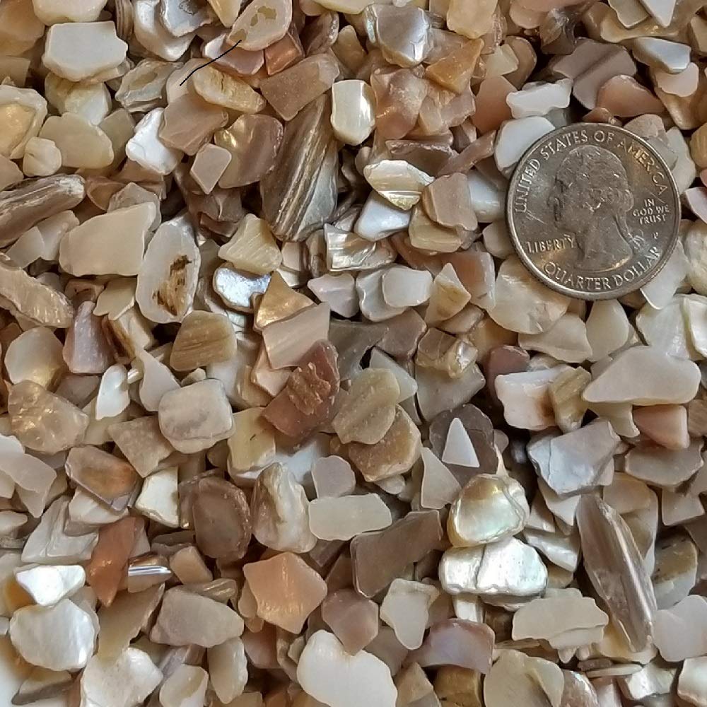 BeachWalk Small Natural Crushed Shells - for Weddings, Vase Filler, Home Décor, and Crafts (32 oz (2 lb), Holiday Pearl)
