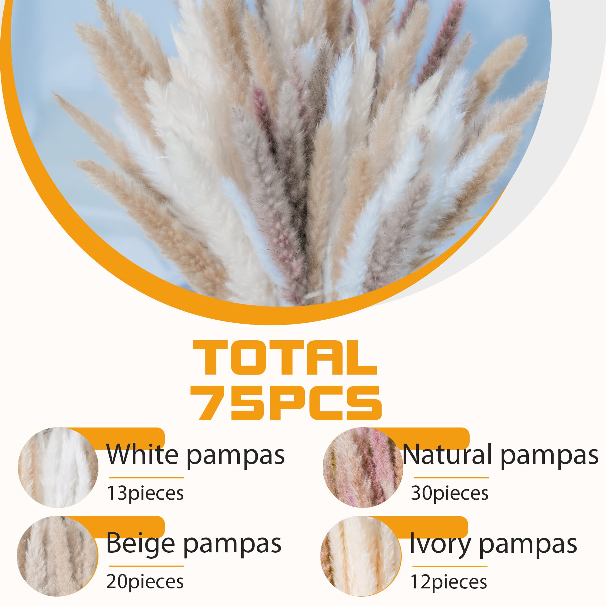 MnS Glam 75 Pc Natural Dried Pampas Grass-25 Pc Cream White Pampas/ 30 Pc Brown Pampass/ 20 Pc Beige Pompus Reed Grass 17.5" Fluffy Stems Dry Pompous Bouquets for Home Decor Wedding Flower Arrangement