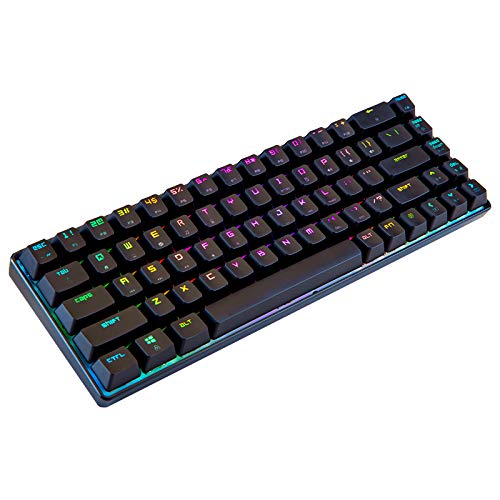 Golanhome Portable RGB Gaming Office 60 Percent Mechanical Keyboard USB 68 Keys Backlit Anti-ghosting Keyboard for PC Laptop(Blue Red Brown Switch) (Brown Switch)