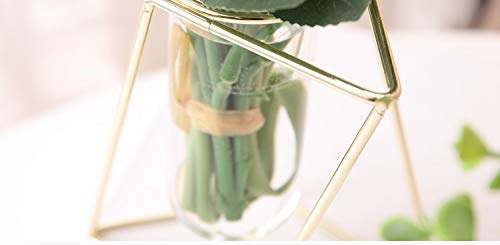 Aoderun Glass Flower Vase with Metal Stand Modern Geometry Desktop Glass Planter Indoor Hydroponics Plants for Home Office Garden Wedding Decor (Gold, M)
