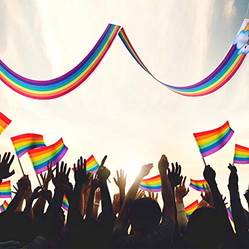 Blulu Rainbow Ceiling Decorations Banner Hanging Rainbow Cloud Ceiling Decoration Rainbow Garland Bunting Banner for Birthday Baby Shower Decoration Classroom Ceiling Decor (1 Pc)