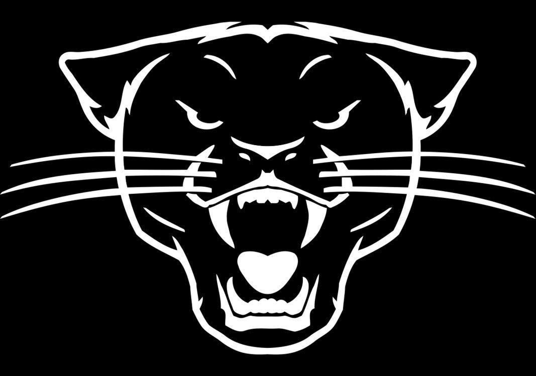 Sex Panther Cologne Spray for Men. Sensual, and Refreshing Juniper and Lavender Musk. Not Made with Bits of Real Panther. Officially Licensed from Anchorman and Anchorman 2 (1.7 oz)