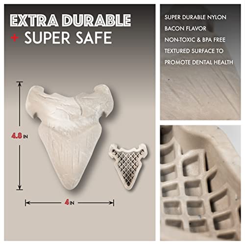 Hyper Pet Fossil Durable Dog Slow Feeder, Chew Toy, Interactive, Bacon Flavored Long Lasting for Aggressive Chewers, Megalodon Tooth, for All Breeds