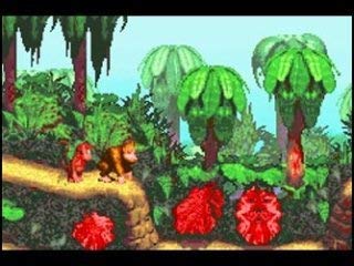 Donkey Kong Country (Renewed)