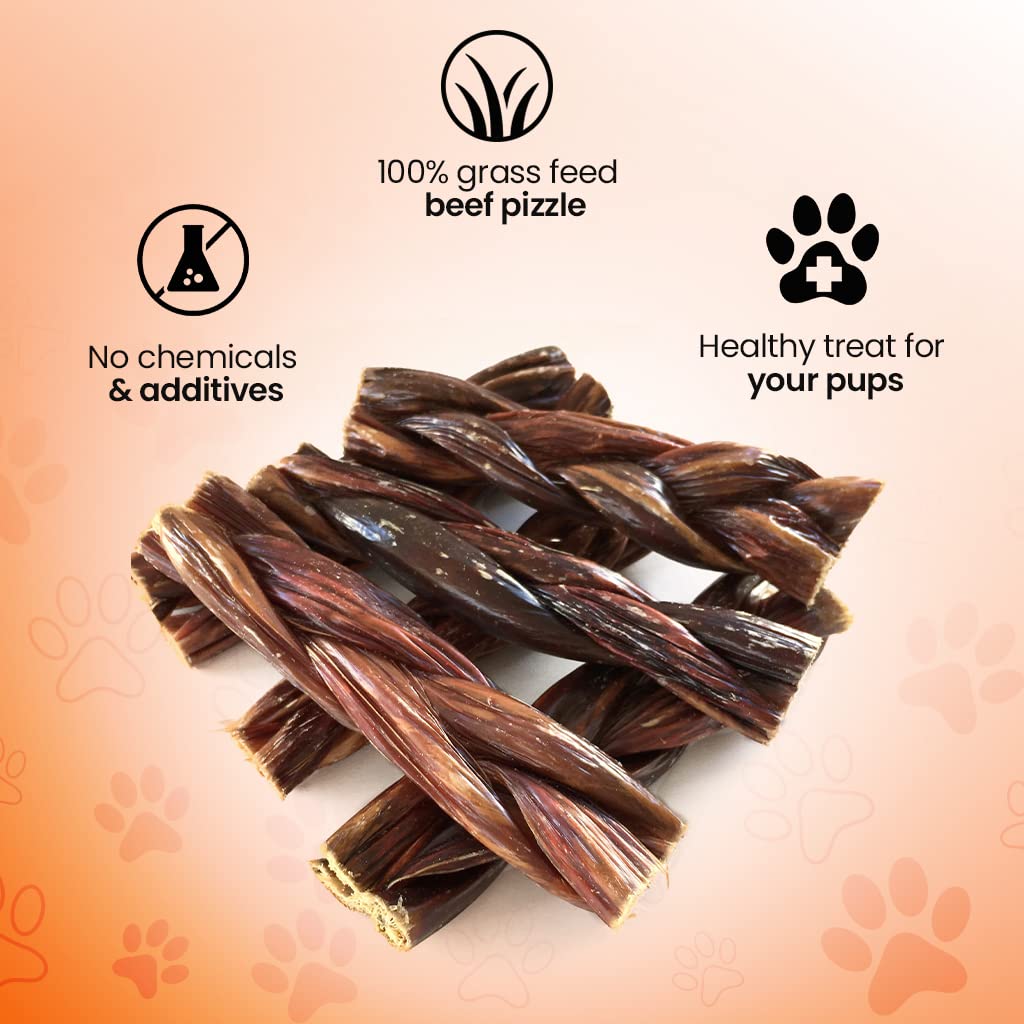 Raw Dog 6" Braided Beef Gullet Sticks (3 Pack) β 100% All Natural Dog Treats & Dental Chews, Non-GMO Grass Fed Beef, Chemical Free Low Odor