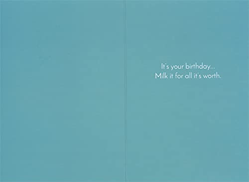 Pictura Cow Wearing Sparkling Striped Party Hat Humorous / Funny Birthday Card