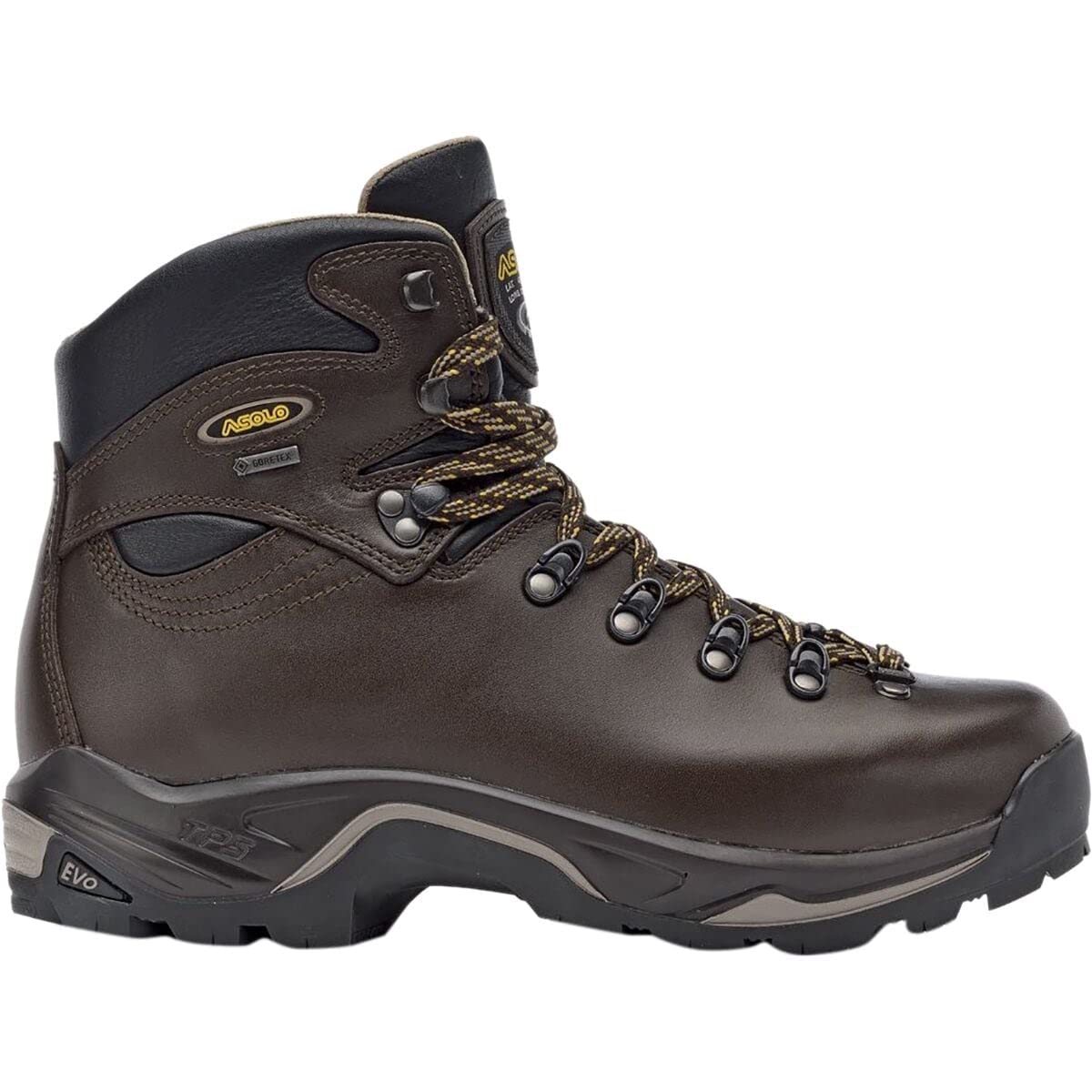 Asolo Women's TPS 520 GV EVO Long Distance, Backpacking, Trekking, Technical Terrian Hiking Boots (Chestnut, 10)