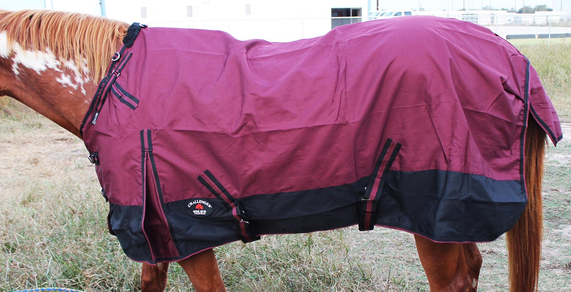 CHALLENGER 84" 1200D Turnout Rain Horse Sheet Light Winter Blanket Gusset 355