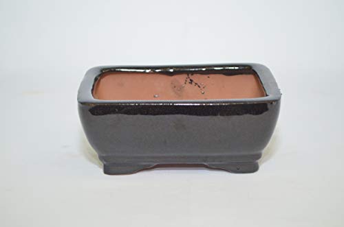 Bonsai Ceramic Pot 5" Rectangle Shape, Black Pot with draining Holes.