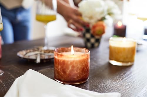 Paddywax Luxury Candles in Hand-Crafted Artisan Blown Glass Scented Luxe Candle, 8-Ounce, Baltic Ember