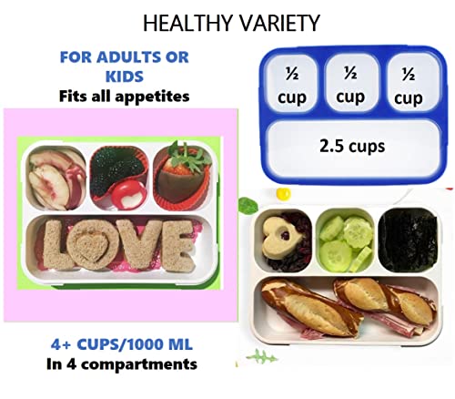 Bento Lunch-Box for Kids and Adults: Leakproof Lunch Boxes with 4 Compartments, Divided Containers for Boys Girls Women Men - School Work Portion Container, Utensils, Blue + Rose Pink Set