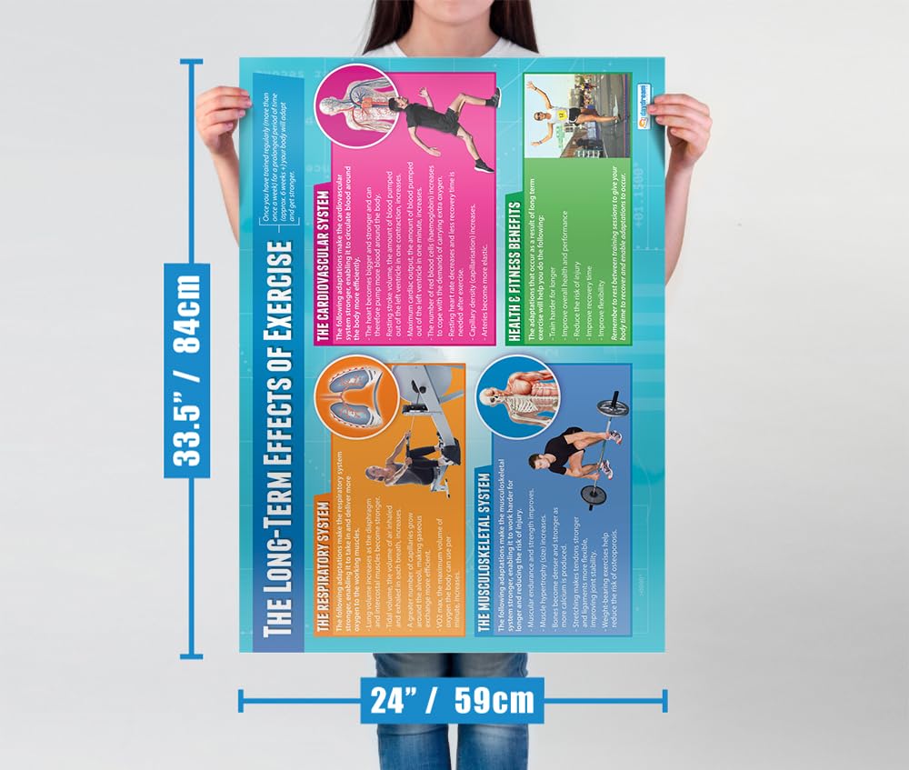 The Long-Term Effects of Exercise Classroom Poster - EXTRA LARGE 33” x 23.5” - Laminated - Physical Education Middle & High School Class Decor - Wall Charts by Daydream Education.