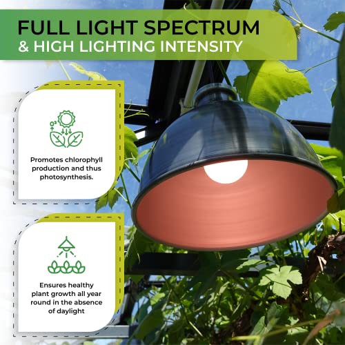 Bio Green 500-USZ Florabooster LUM 500 Grow Indoor 60w Lightbulb Lamp with 3m Connection Cable β Energy Saving House Plants β High Light Intensity, Brushed zinc