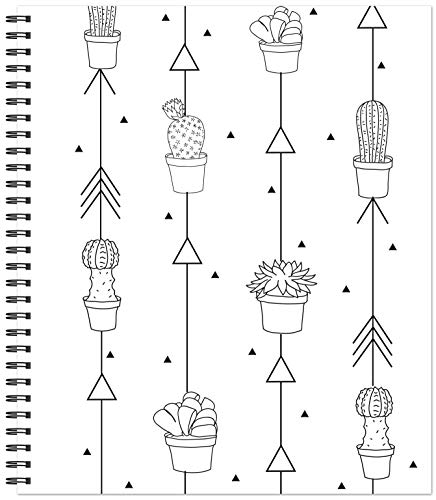 Color & Frame - Painted Deserts (Adult Coloring Book)
