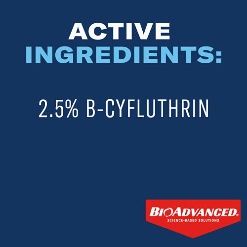 BioAdvanced Carpenter Ant & Termite Killer Plus, Concentrate, 1 Gal