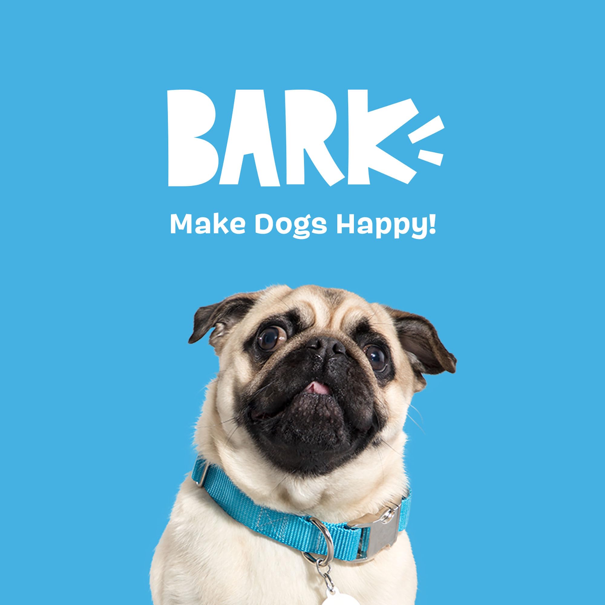Bark Bright Durable Dental Chew Sticks for Dogs (15 Chews) Made for Tough Chewers - Small Breeds