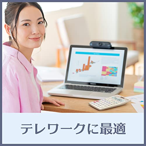 CASIO calculator just type recalculation type the 12-digit JS-20WK (japan import)
