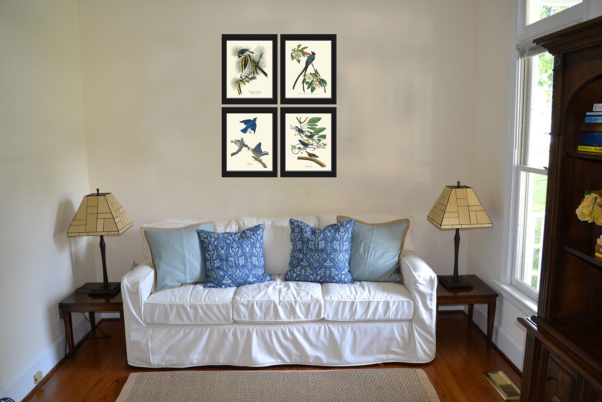 Bird Print Wall Art Set of 4 Prints Beautiful James Audubon Titmouth Fork-tailed Flycatcher Blue Bird Bluebirds Indigo Bird on Pine Tree Blooming Magnolia Flower Home Room Decor Unframed