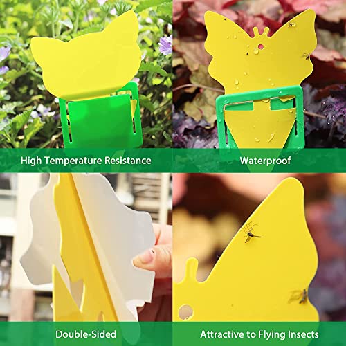 BUGKILLER 30PCS Yellow Fruit Fly Traps for Indoors, Fungus Gnats Sticky Traps for Plants, Gnat Traps for House Indoor, Used for Mosquitoes, Whiteflies, Thrips, Leaf Miners...(Non-Toxic, Dual Sided)