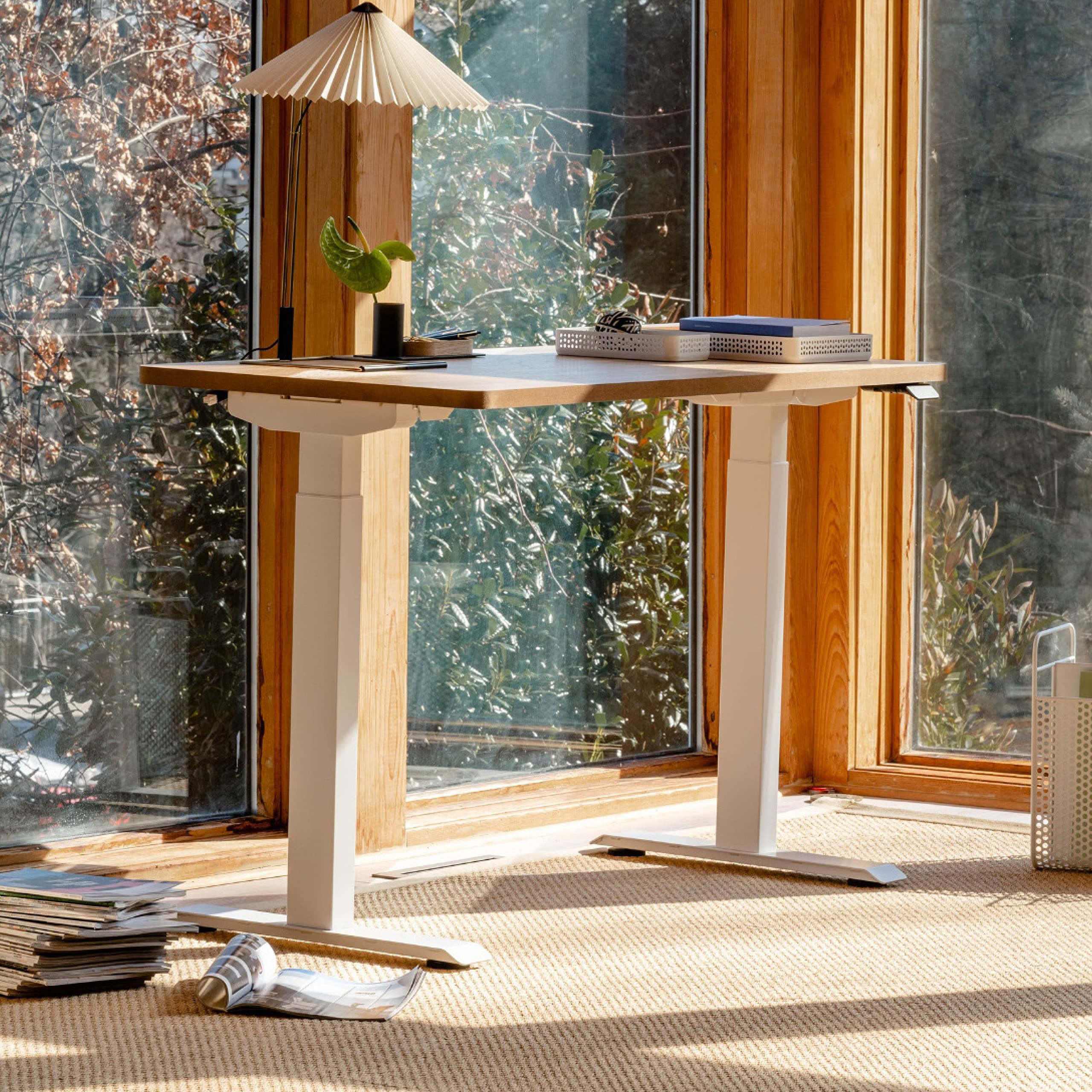 Branch Duo Standing Desk 36 Inches - Adjustable Standing Desk with 20β Range - OLED Control Panel - Frameless Design & Compact Size Suitable for Many Spaces - White Base - Woodgrain Top