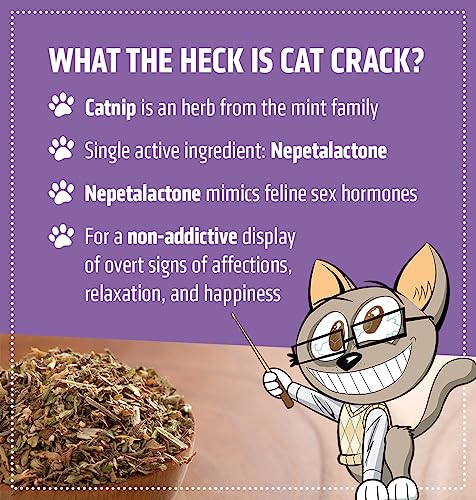 Cat Crack Catnip 1 Cup Bundled with Organic Catnip 1 Cup, Premium Blend Safe for Cats, Infused with Maximum Potency Your Kitty is Sure to Go Crazy