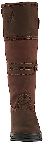 Ariat Womens Langdale Waterproof Boot Java 6.5 Plus