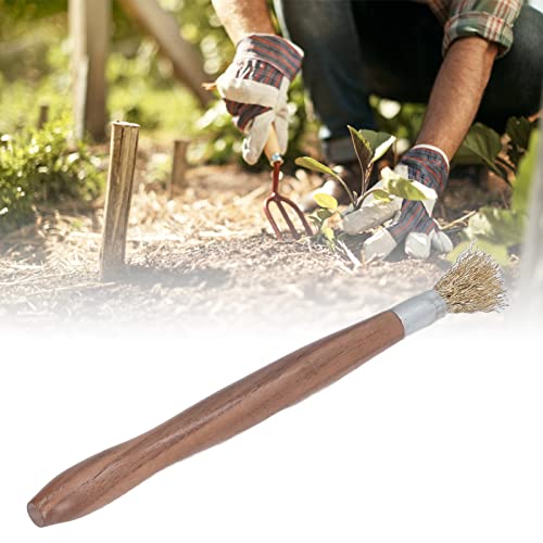 Bonsai Brush, Bonsai Steel Wire Brush Safe for Lawn for Garden