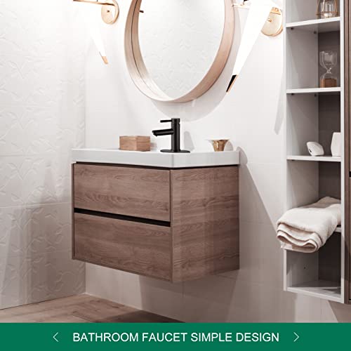 Black Bathroom Faucet Single Hole RV Bathroom Faucet Stainless Steel Bathroom Sink Faucet 1 Hole with 3 Hole Deck Plate,Water Supply Lines with cUPC Certification