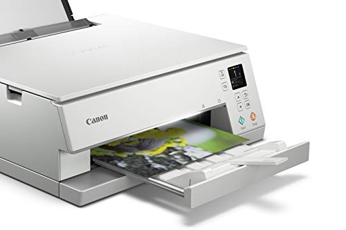 Canon TS6320 All-in-One Wireless Color Printer with Copier, Scanner and Mobile Printing, White, Works with Alexa