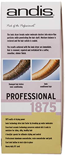 Andis 1875-Watt Professional Tourmaline Ceramic Ionic Hair Dryer, Platinum (82310)