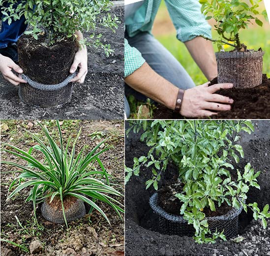 boUod 5pcs 15 Gallon Gopher and Vole Wire Baskets Protect Plants, Trees, Flowers and Bulbs from Voles, Gophers and Moles