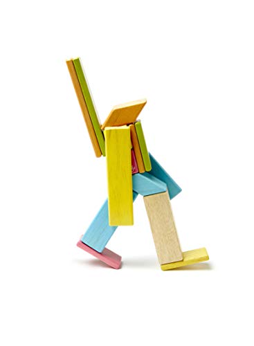 Tegu 14 Piece Magnetic Wooden Block Set in Tints