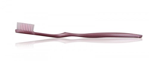 Tess Oral Health 3920C Concept Curve Soft Bristle, Pearlescent Toothbrush (1 Dozen) - Elevate Your Dental Care Experience