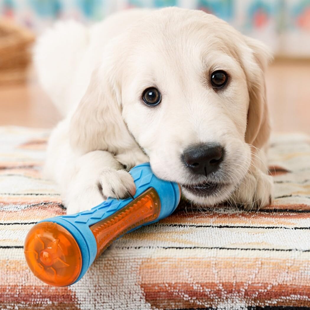 BOSREROY Puppy Dental Cleaning Training Toy Squeaky Pet Interactive Teeth Rubber Portable Throwing Chew Toy Dog Reusable