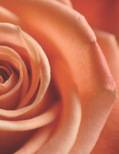 Coral Pink Rose Composition Notebook