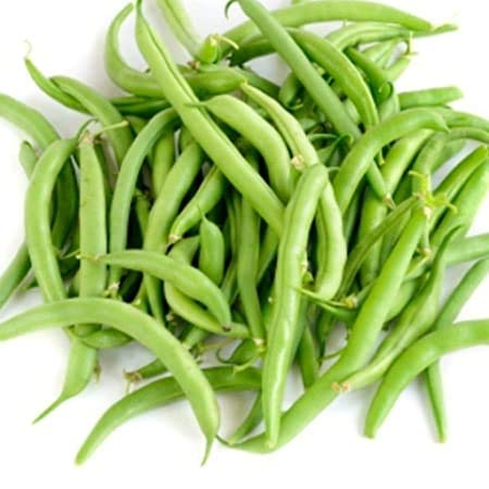 Blue Lake Pole Bean Seeds for Planting, 50+ Heirloom Green Bean Seeds Per Packet, (Isla's Garden Seeds), Non GMO Seeds, Botanical Name: Phaseolus vulgaris