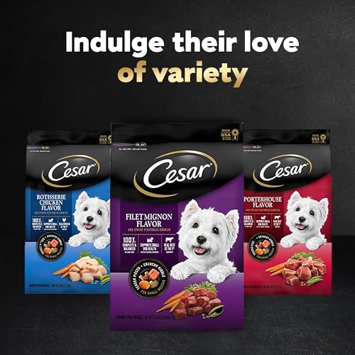 CESAR Adult Small Breed Dry Dog Food, Filet Mignon Flavor with Spring Vegetables Garnish, 5 lb. Bag